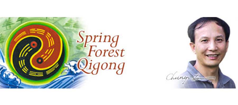 Master Chunyi Lin is coming to London! - Karina Grant